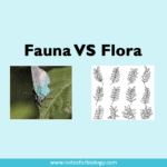 Flora And Fauna - Definition, Classification, Examples