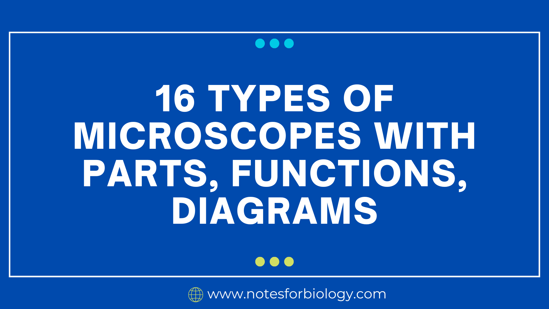 16 Types of Microscopes with Parts, Functions, Diagrams