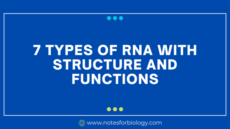 7 Types Of Rna With Structure And Functions