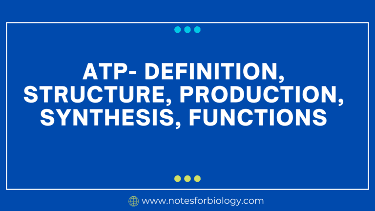 Atp Definition Structure Production Synthesis