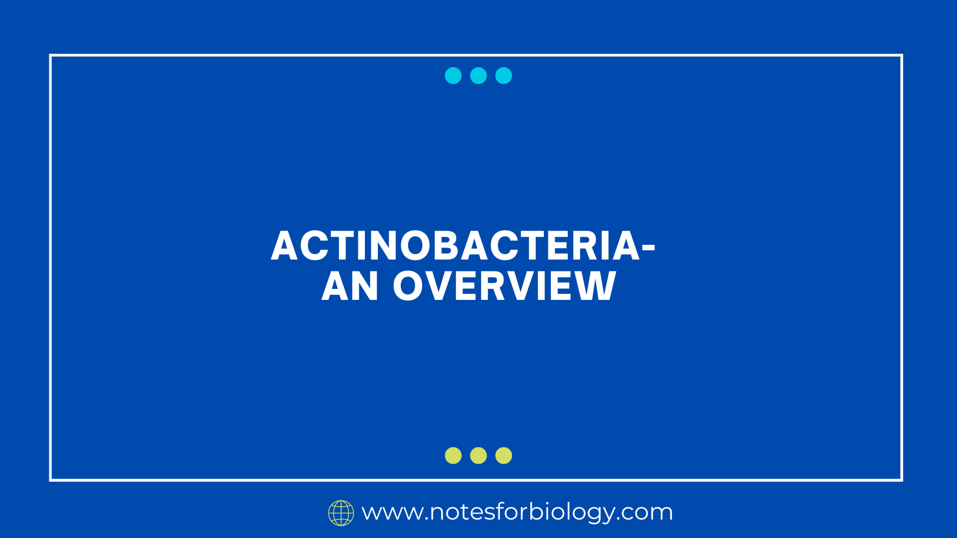 Actinobacteria- An Overview - Best Biology Notes