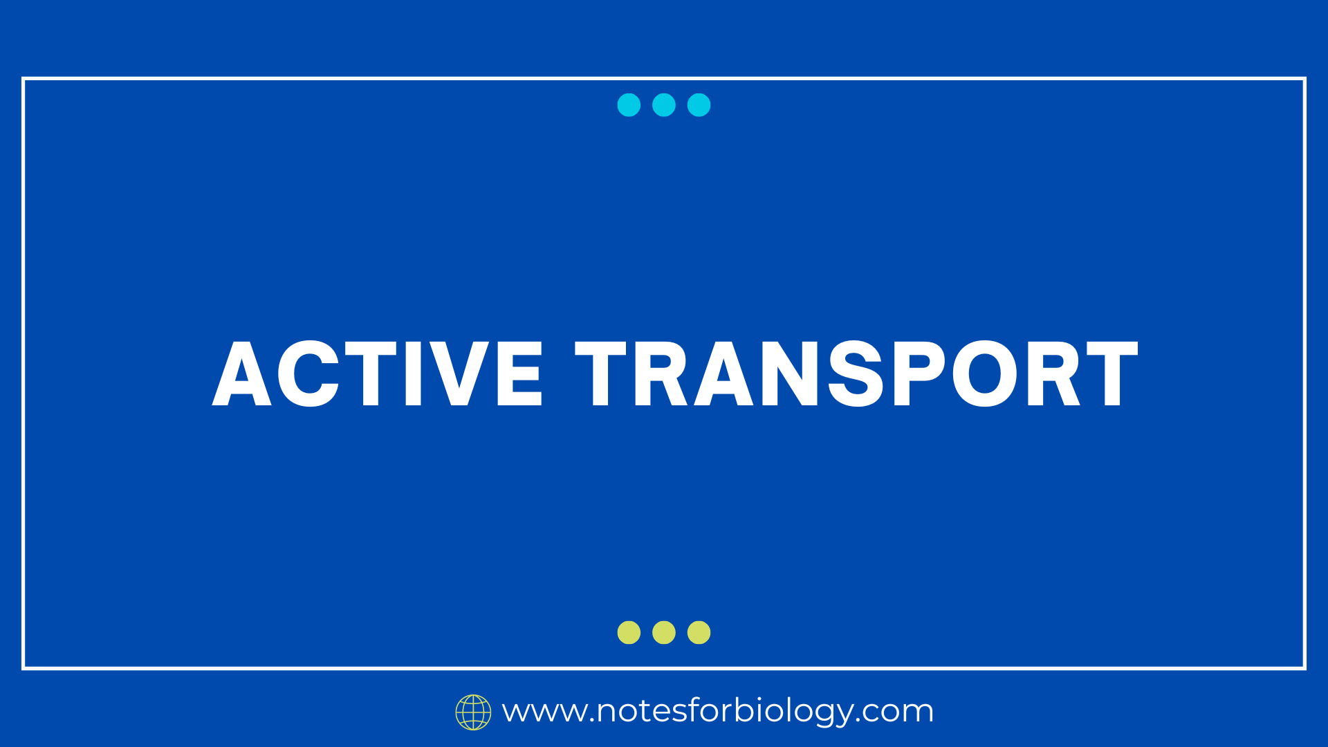 Active vs. Passive Transport: 18 Differences, Examples