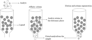 Affinity Chromatography- Definition, Principle, Parts,Step