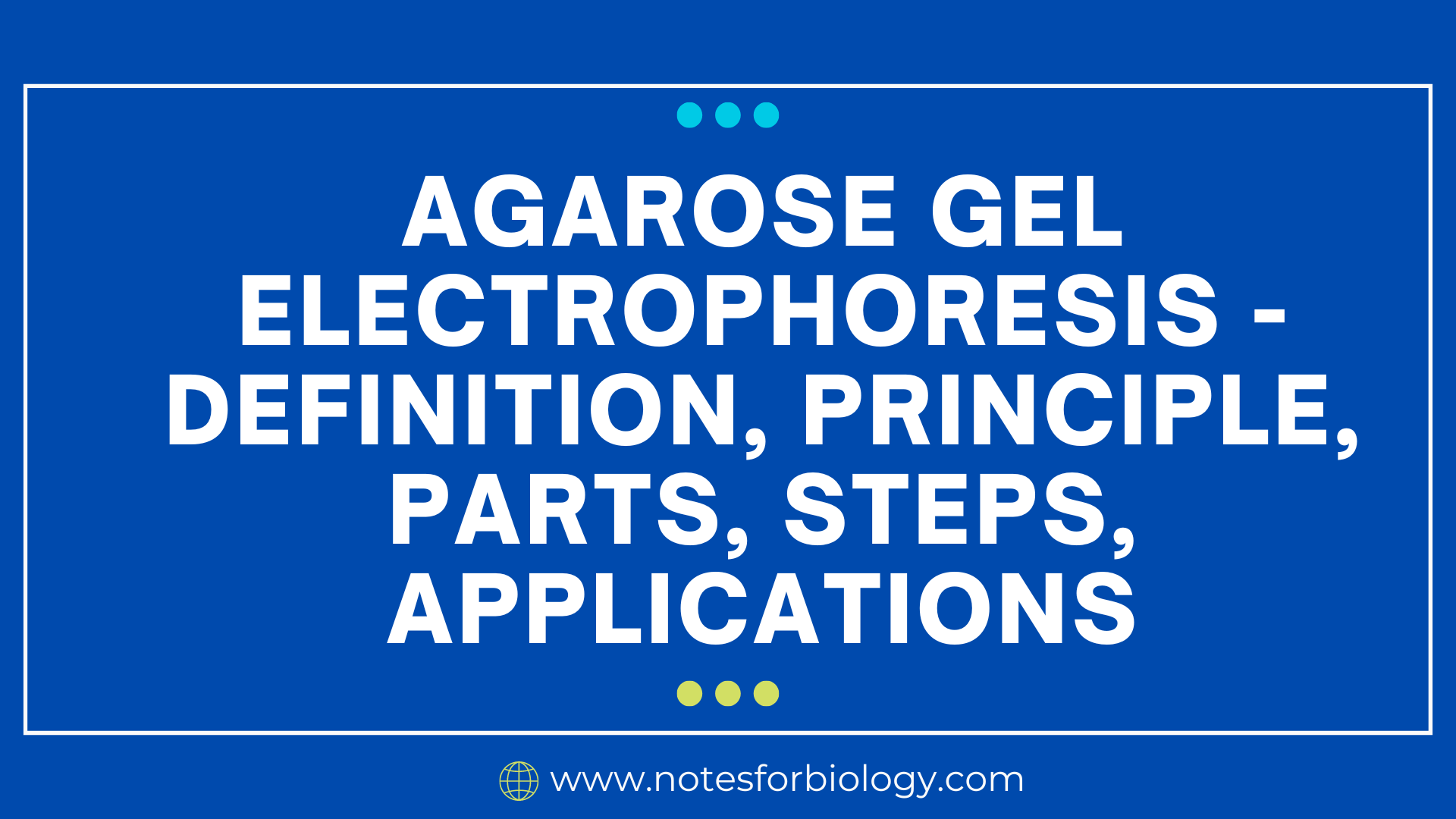 Agarose Gel Electrophoresis