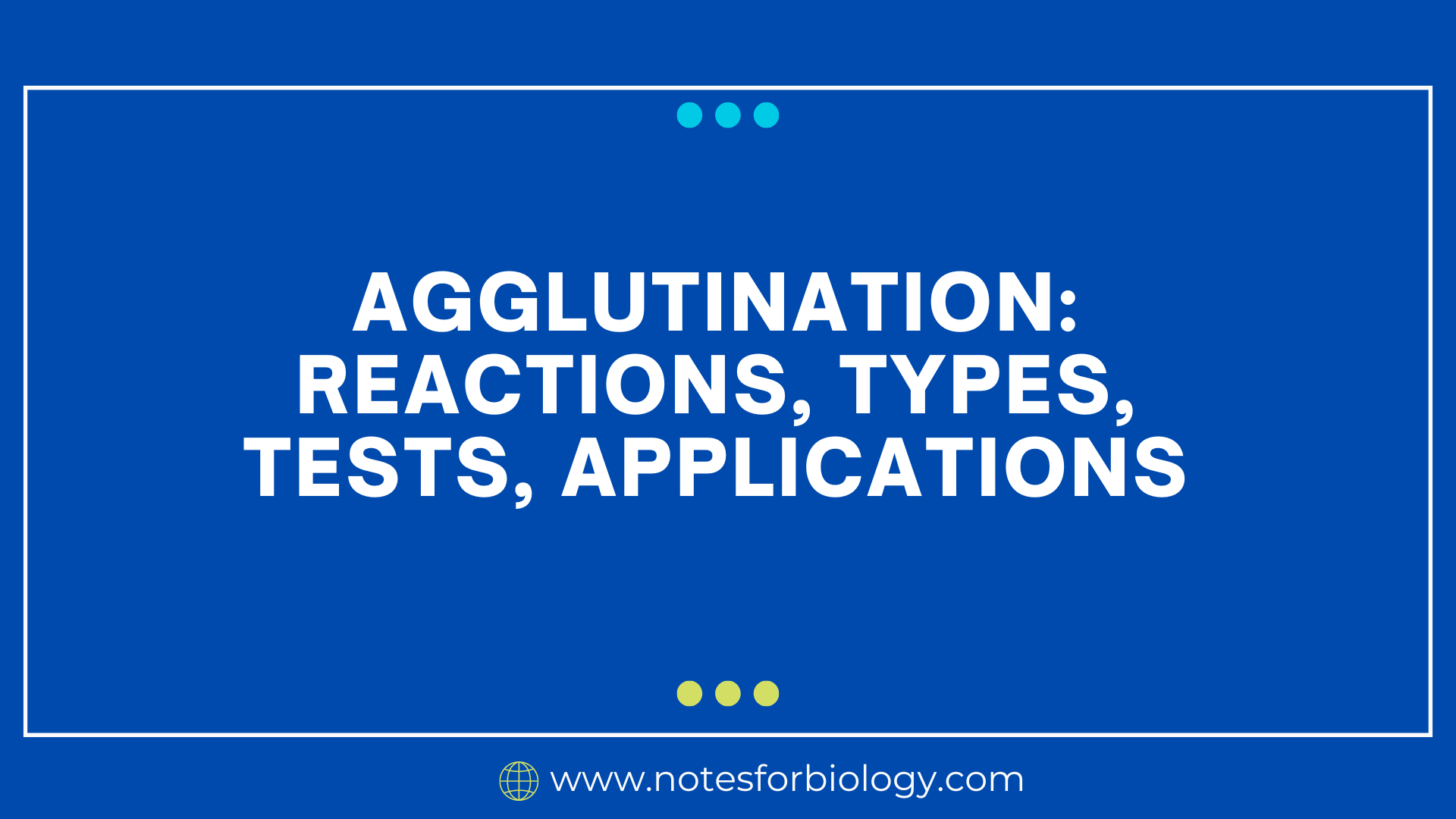 Agglutination Reactions Types Tests Applications Best Biology