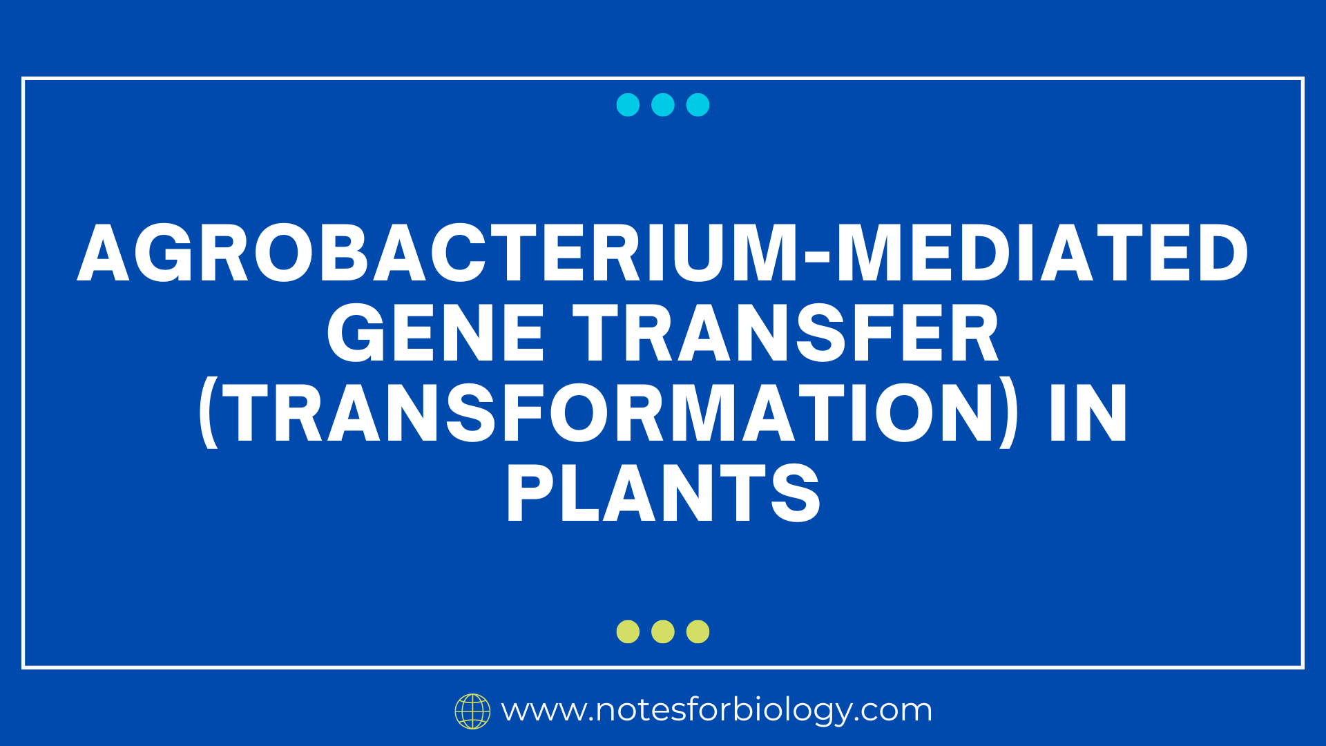 Agrobacterium-Mediated Gene