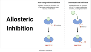 Allosteric Inhibition: Mechanism, Cooperativity, Examples