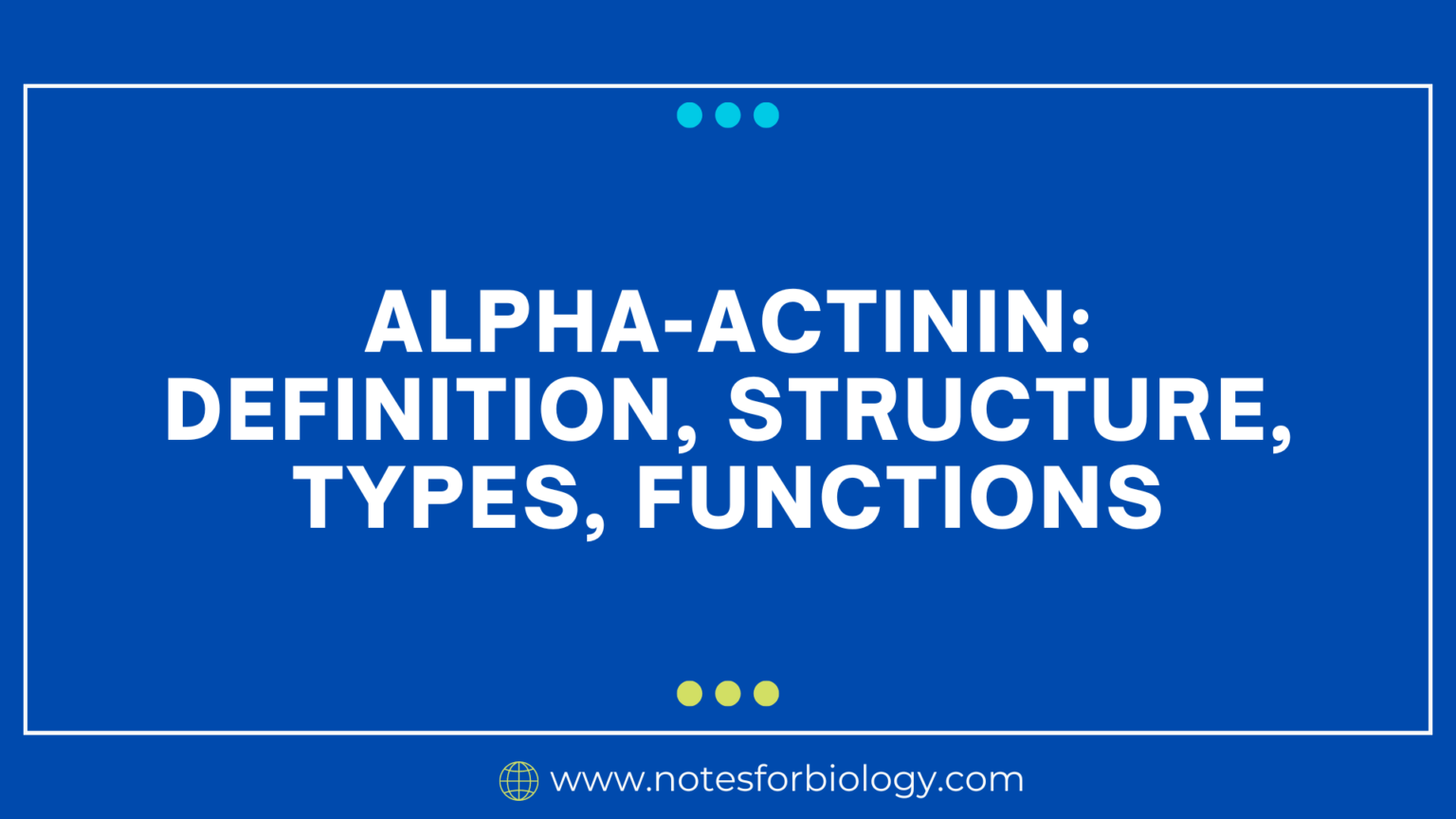 Alpha-Actinin: Definition, Structure, Types, Functions