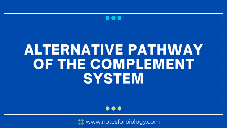 Alternative pathway of the complement system - Best Biology Notes ...