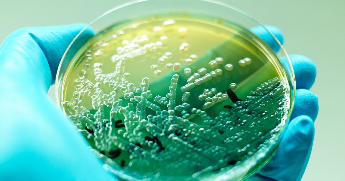 Beta-Lactamase and Ambler classification