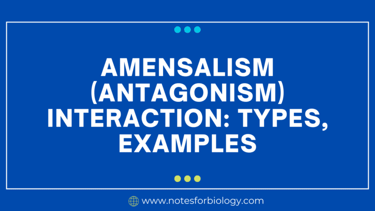 Amensalism Interaction: Types, Examples