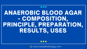 Anaerobic Blood Agar