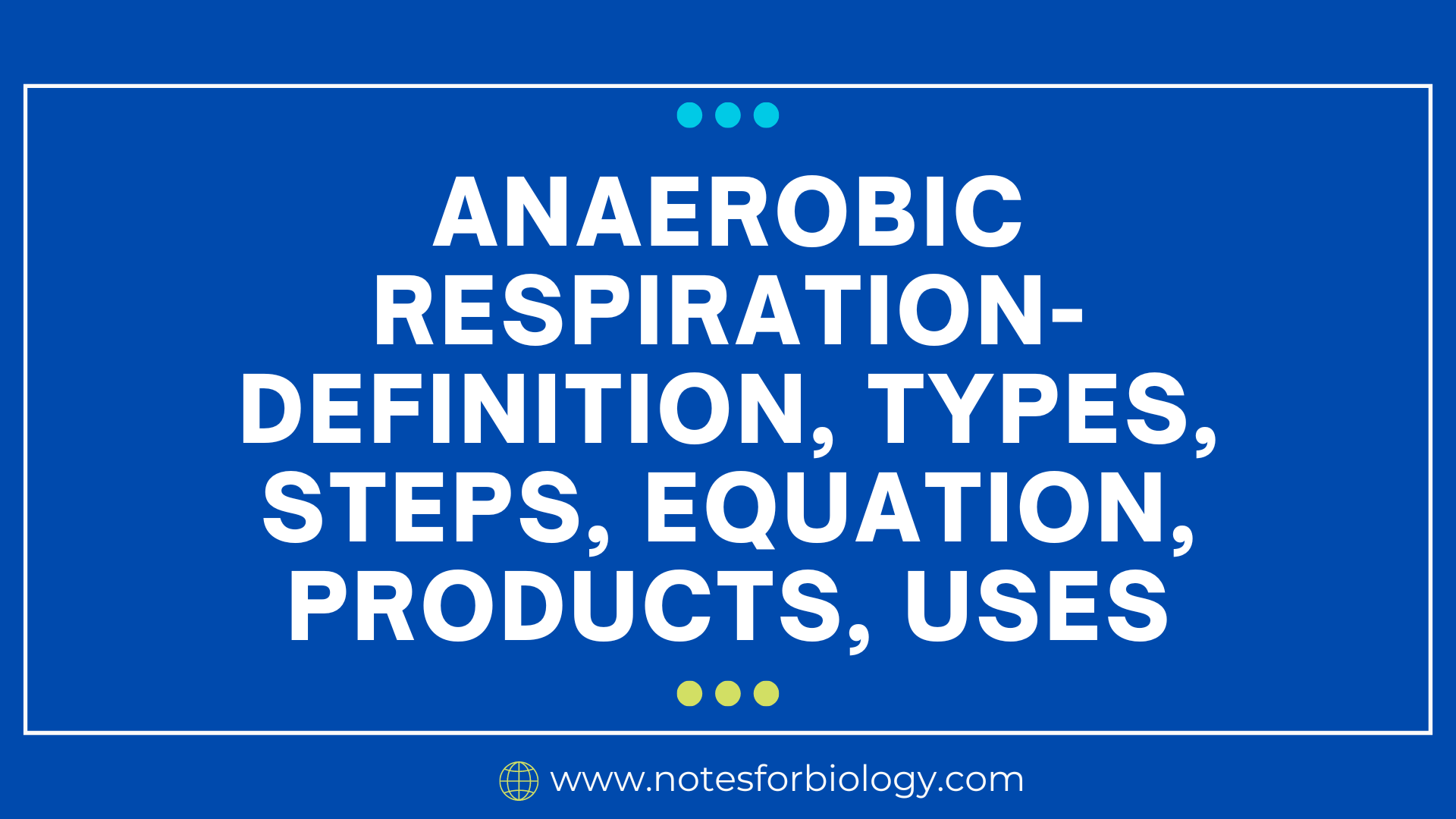 What Is Anaerobic Respiration The Definitive Guide Biology Online