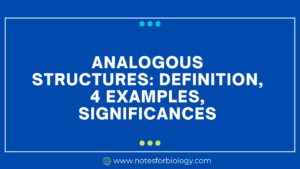 Analogous Structures: Definition, 4 Examples, Significance