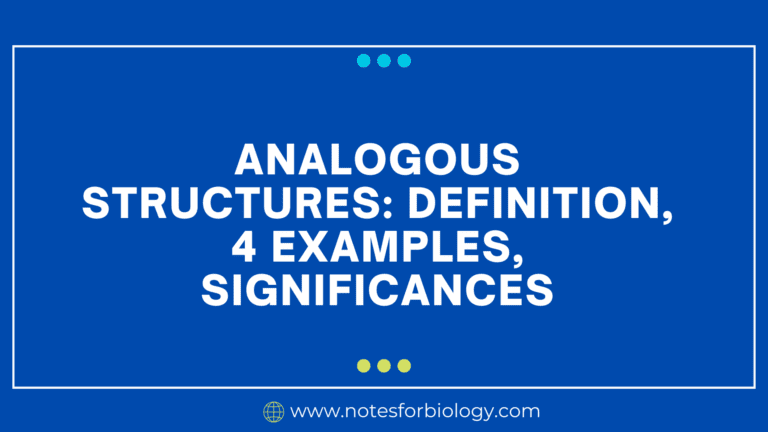 Analogous Structures: Definition, 4 Examples, Significance