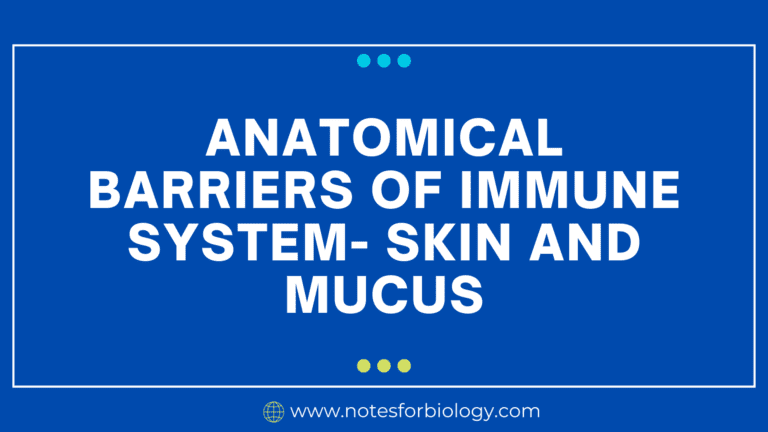 Anatomical Barriers of Immune System- Skin and Mucus - Best Biology ...