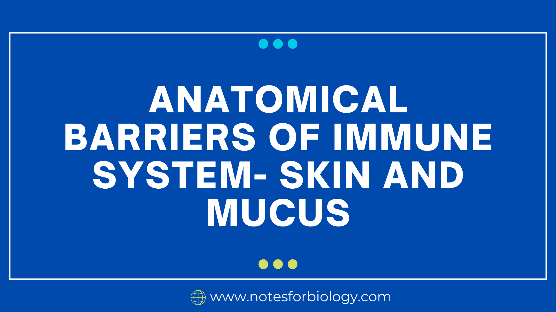 Anatomical Barriers of Immune System- Skin and Mucus - Best Biology ...