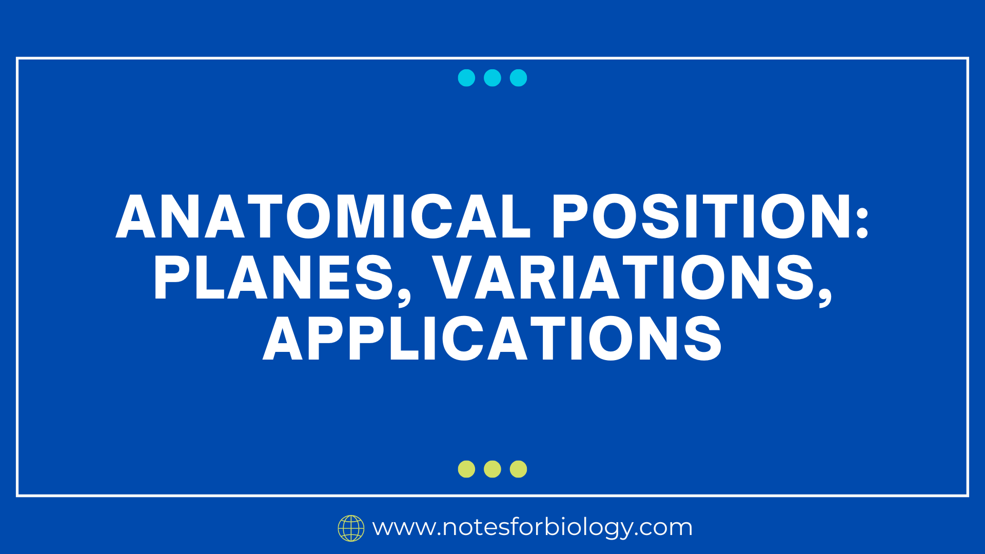 Anatomical Position: Planes, Variations, Applications