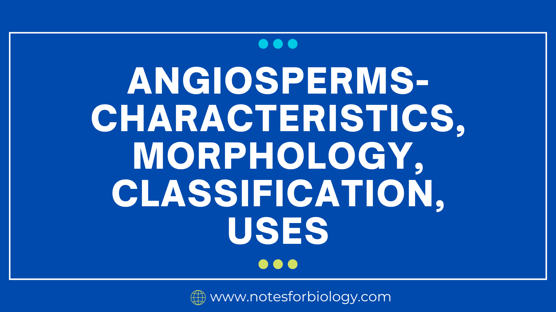 Angiosperms- Characteristics, Morphology, Classification, Uses Angiosperms- Characteristics, Morphology, Classification, Uses