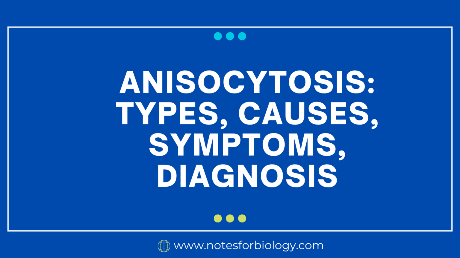 Anisocytosis: Types, Causes, Symptoms, Diagnosis
