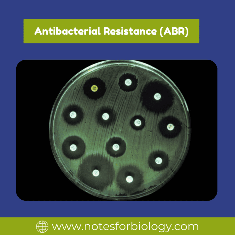 Antimicrobial And Antibacterial Resistance