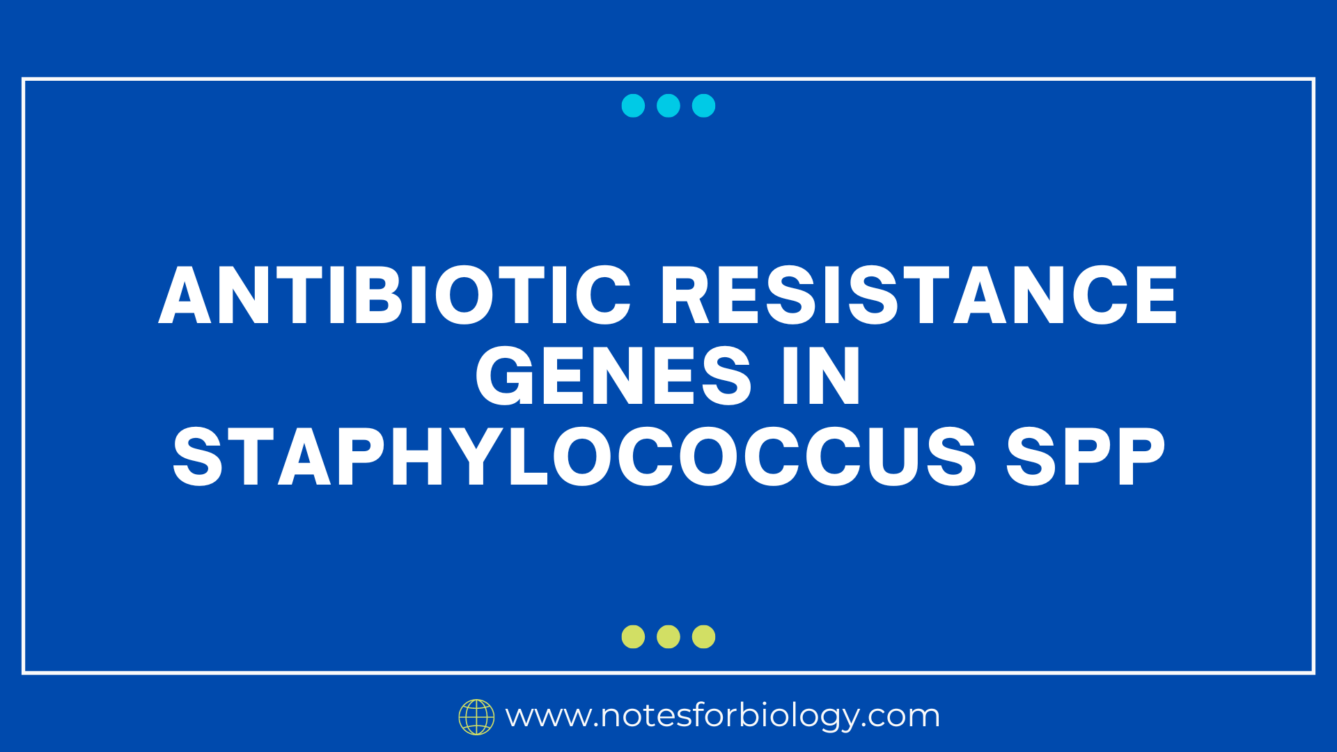 Staphylococcus spp in Antibiotic Resistance Genes Staphylococcus spp in Antibiotic Resistance Genes