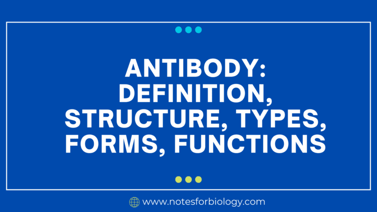 Antibody: Definition, Structure, Types, Forms, Functions - Best Biology ...
