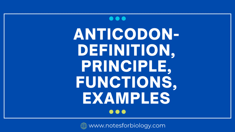 Anticodon- Definition, Principle, Functions, Examples