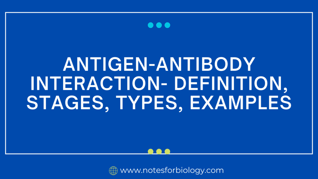Antigen Antibody Interaction Definition Stages Types