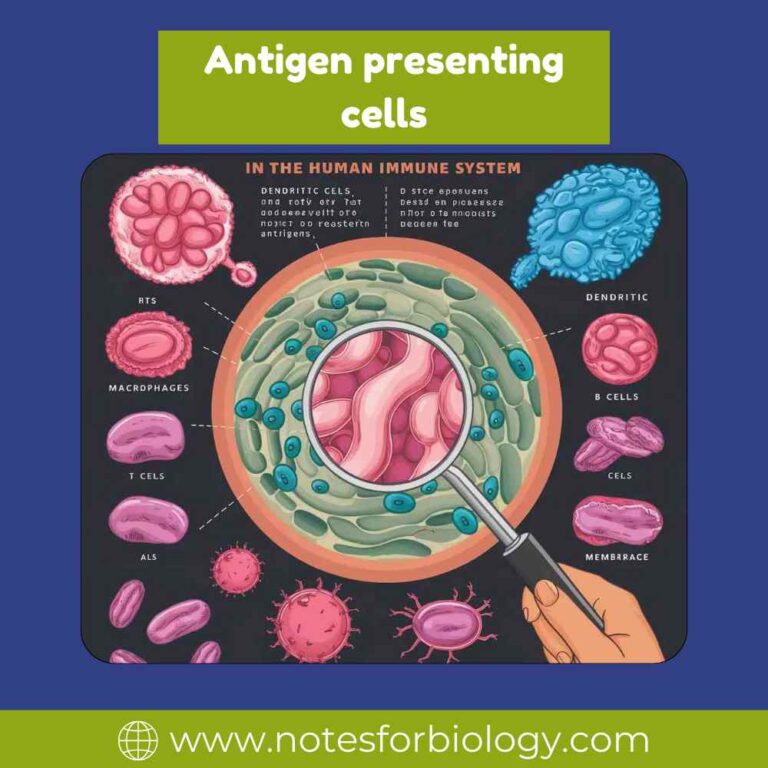 Antigens: A Comprehensive Guide for Beginners