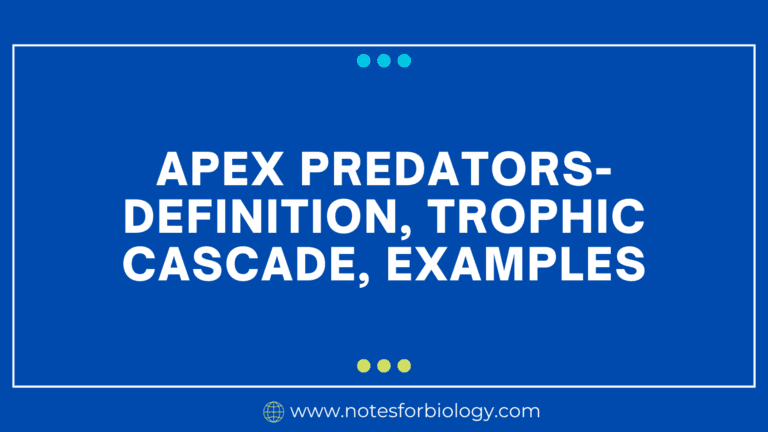Apex Predators- Definition, Trophic Cascade, Examples