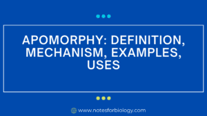 Apomorphy: Definition, Mechanism, Examples, Uses