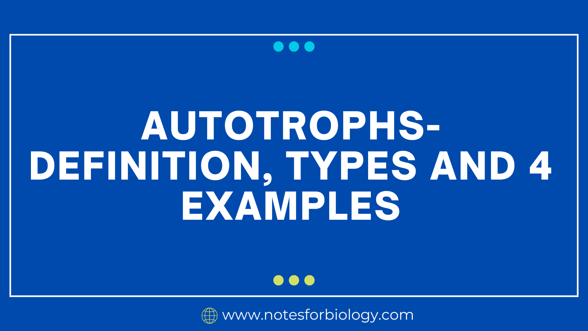 Autotrophs- Definition, Types and 4 Examples