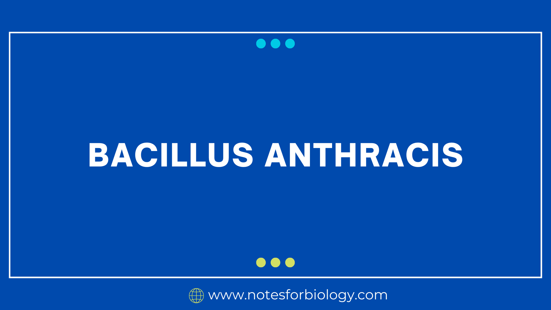 Bacillus anthracis- An Overview - Best Biology Notes, Reference, Articles