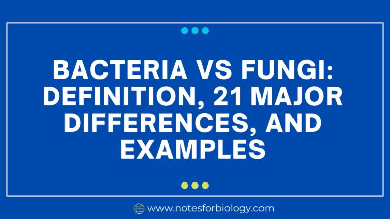 Bacteria vs Fungi