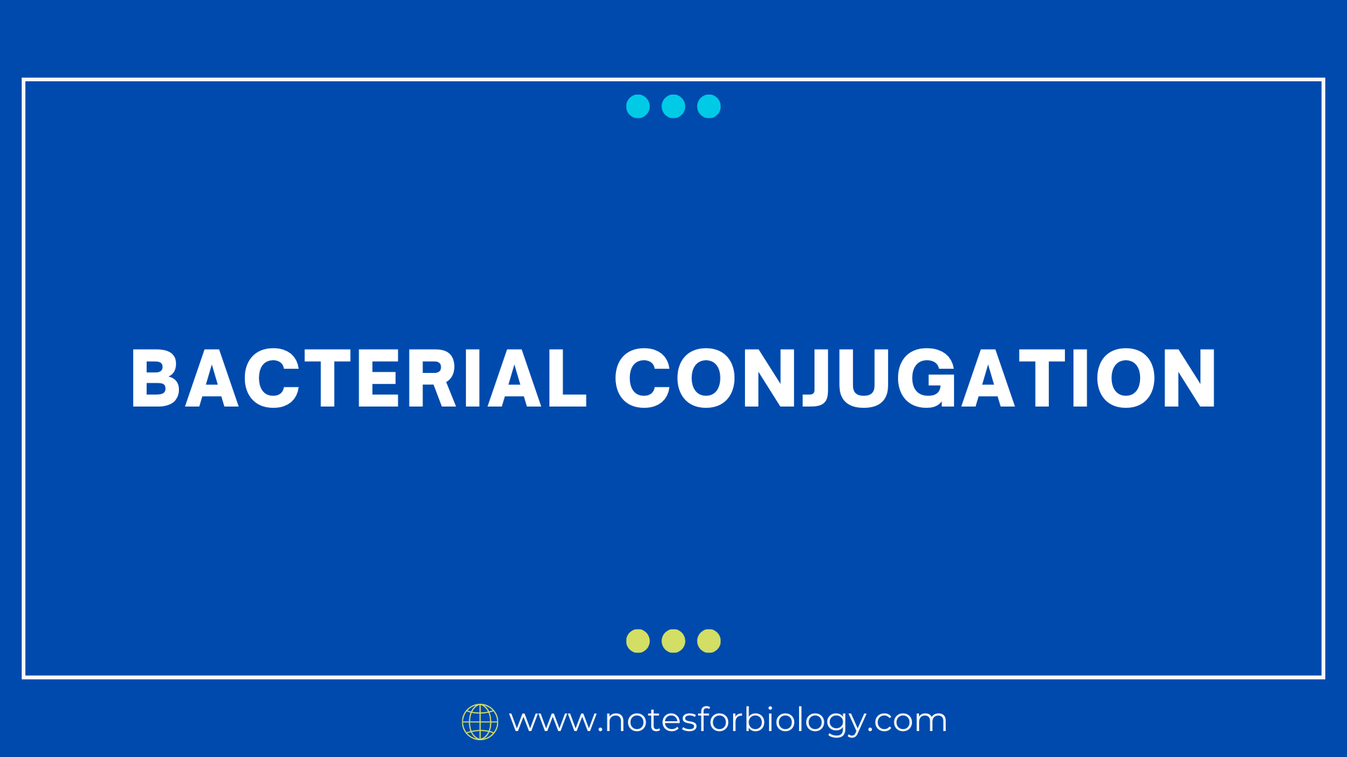 Bacterial Conjugation