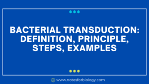 Bacterial Transduction: Definition, Principle, Steps