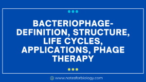 Bacteriophage- Definition, Structure, Life Cycles