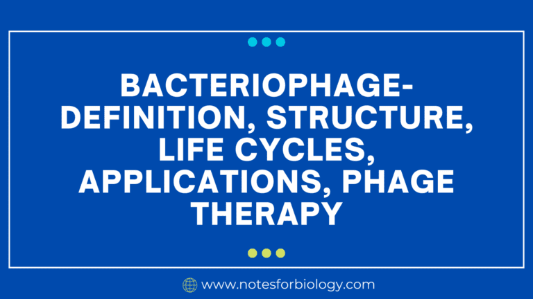 Bacteriophage- Definition, Structure, Life Cycles