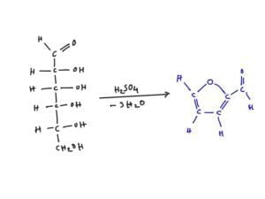 Bial’s Test- Definition, Principle, Procedure, Result, Uses
