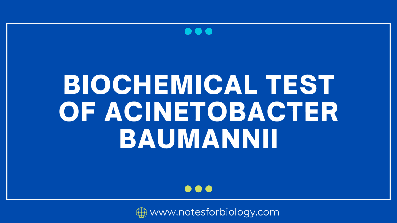 Escherichia coli (E. coli)- Biochemical Test