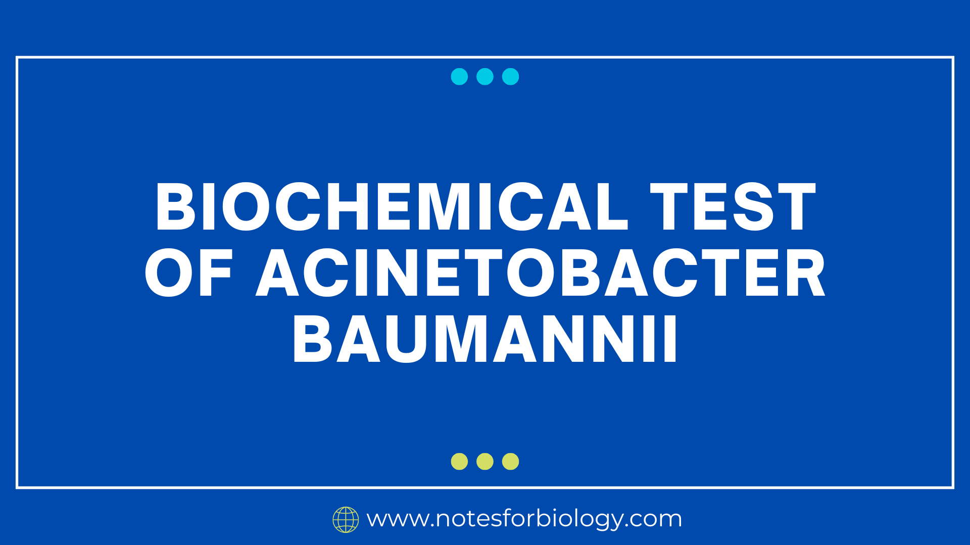 Biochemical Test of Acinetobacter baumannii