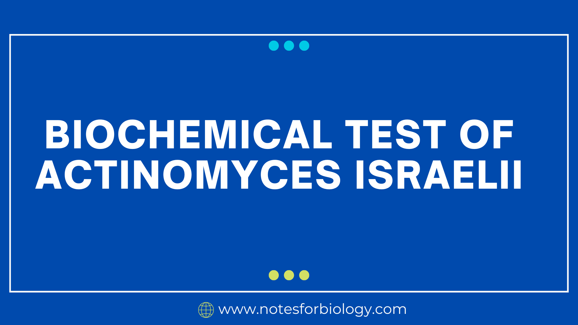 Actinomyces israelii - Biochemical Test