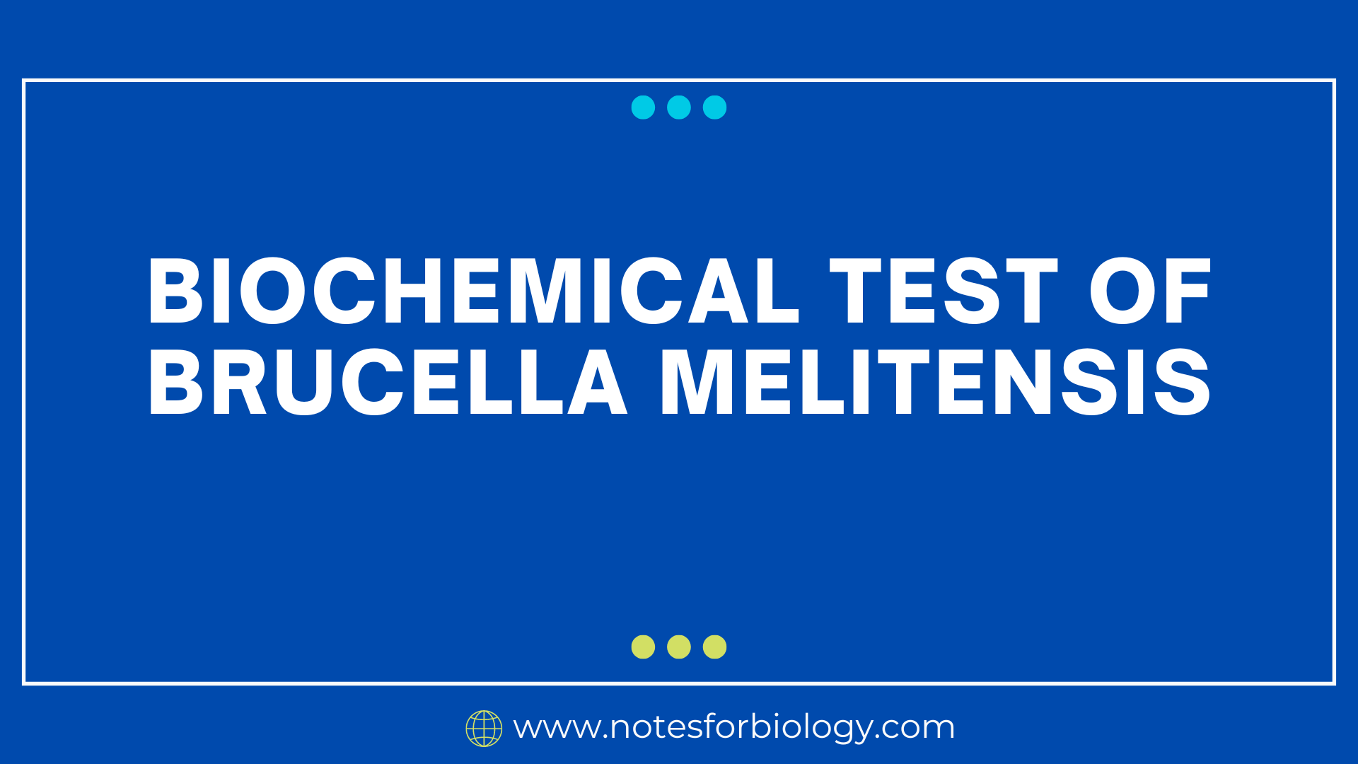 Brucella melitensis - Biochemical Test