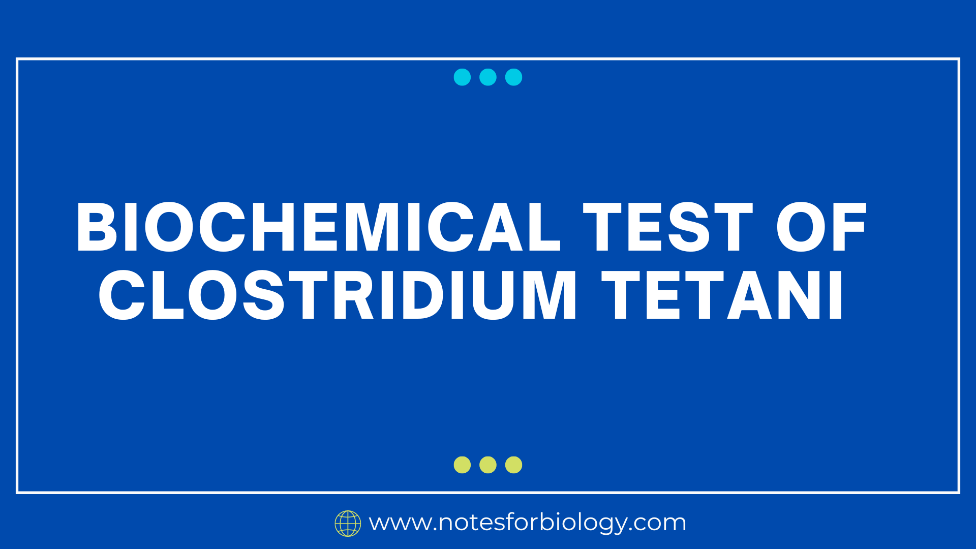 Clostridium tetani - Biochemical Test