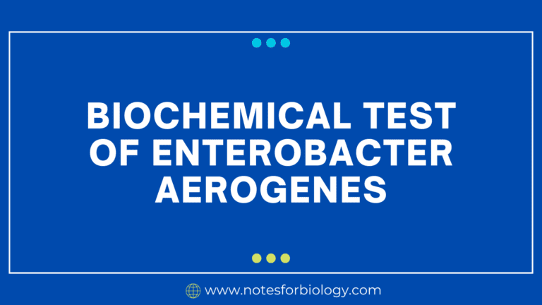 Enterobacter aerogenes- An overview