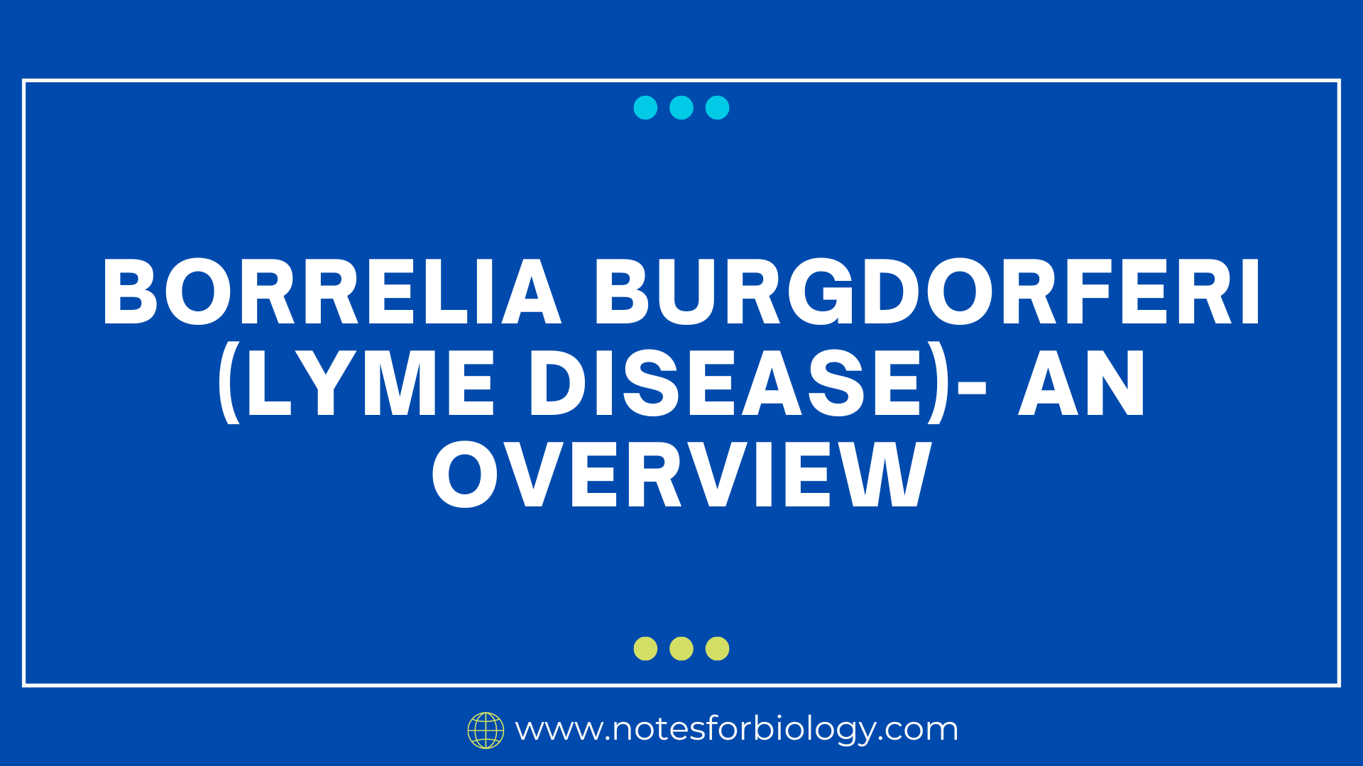 Borrelia burgdorferi (Lyme Disease)- An Overview - Best Biology Notes ...