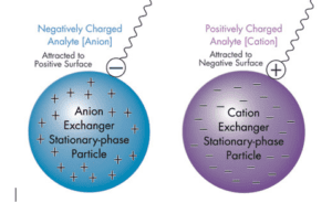 14 Types of Chromatography (Definition, Principle,