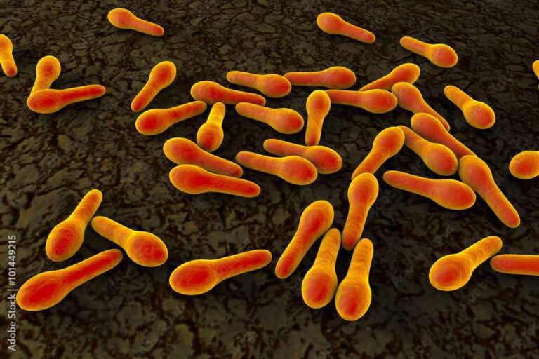 Clostridium tetani - Biochemical Test