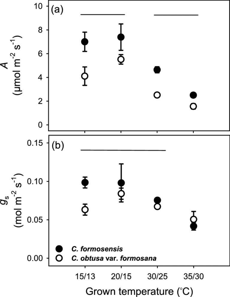 Assimilation in Biology Process, Types, Examples